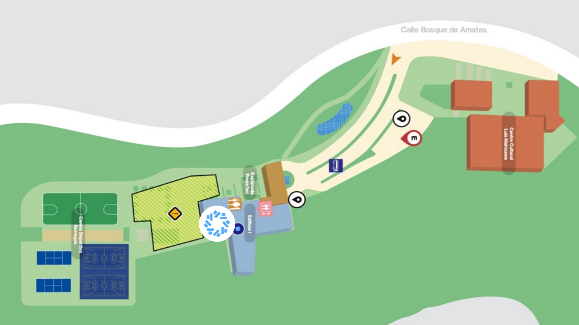 ESM | TecMed | Tecnológico de Monterrey